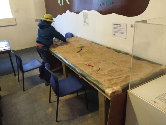 Dinostar – The Dinosaur Experience in Hull Review – What's Good To Do