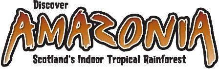 Discover Amazonia Review – What's Good To Do