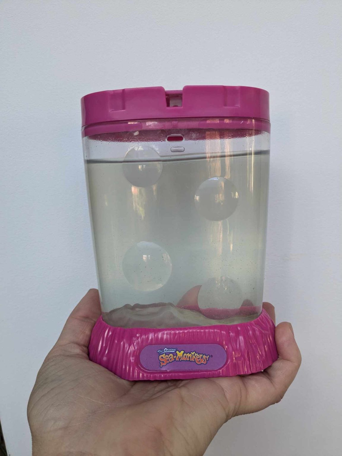 The Original Sea Monkeys Ocean Zoo Review – What's Good To Do